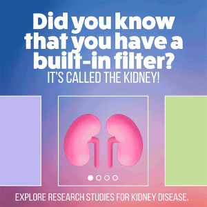 The Fighting Power of the Kidneys - Evolution Research Group